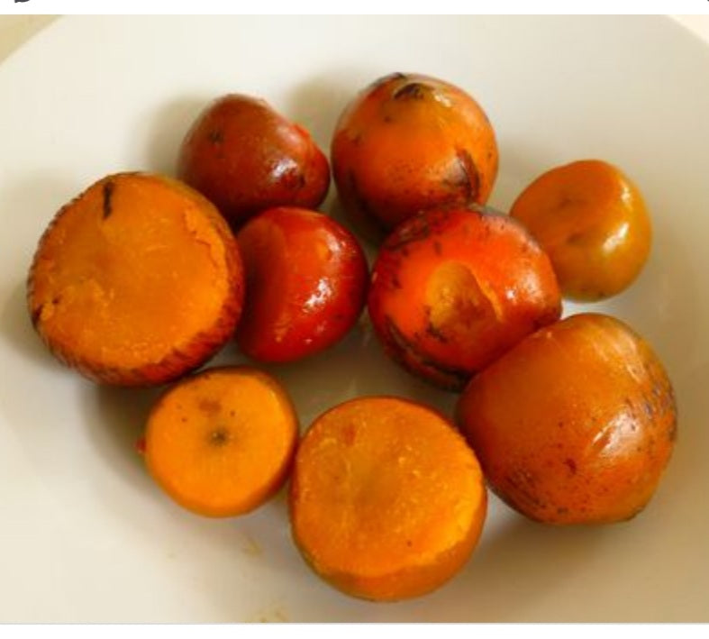 PARÉPOU 200 G – COMPTOIR EXOTIC